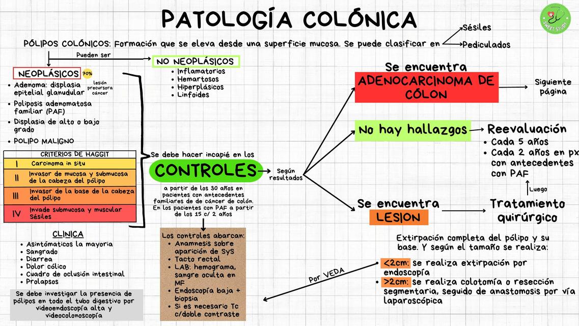 Pólipos colónicos y adenocarcinoma de colon | Sweet Study | uDocz