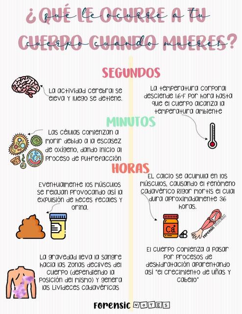 ¿Qué le ocurre a tu cuerpo cuando mueres? | Forensic.notes | uDocz