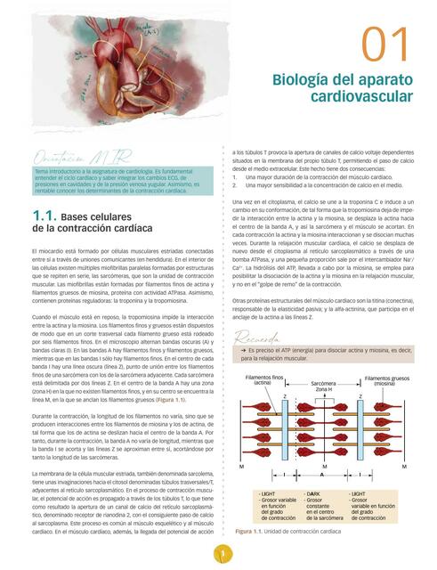 Biología del aparato cardiovascular | Full ciencia | uDocz
