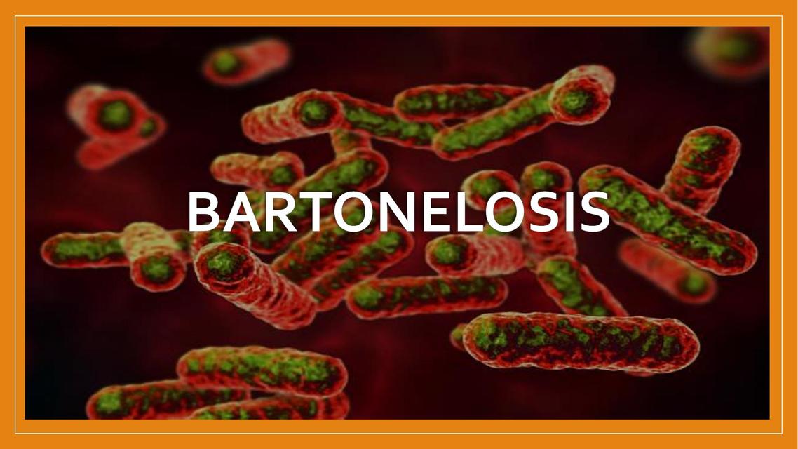 BARTONELOSIS -CLÍNICA Y TRATAMIENTO | Renzo Luján | uDocz