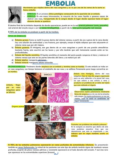 5. Embolia y Vasos sanguíneos | Piero Vega | uDocz
