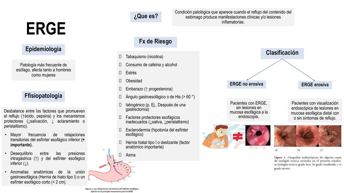 ERGE | @CUIDADO.MEDICO | uDocz