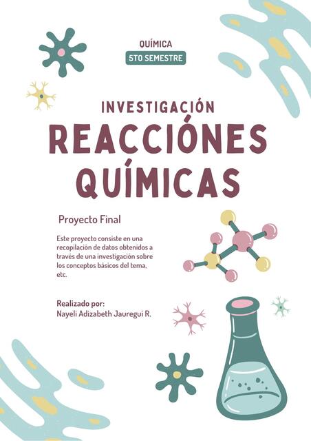 Reacciones químicas | Ady Jauregui | uDocz