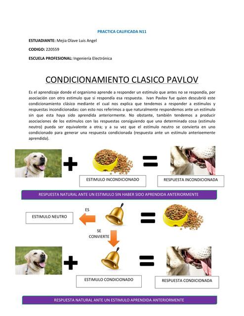 Condicionamiento Clásico Pavlov | LUIS ANGEL MEJIA OLAVE | uDocz