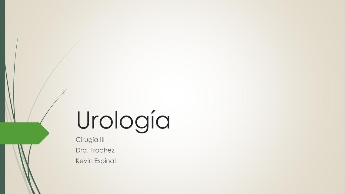 Vision general de la urologia | Kevin Espinal | uDocz