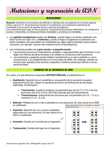 Mutaciones y reparación de ADN | Lara Chimiski | uDocz