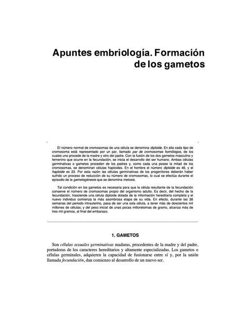 Apuntes embriología Formación de los gametos | Medicina y Farmacia | uDocz