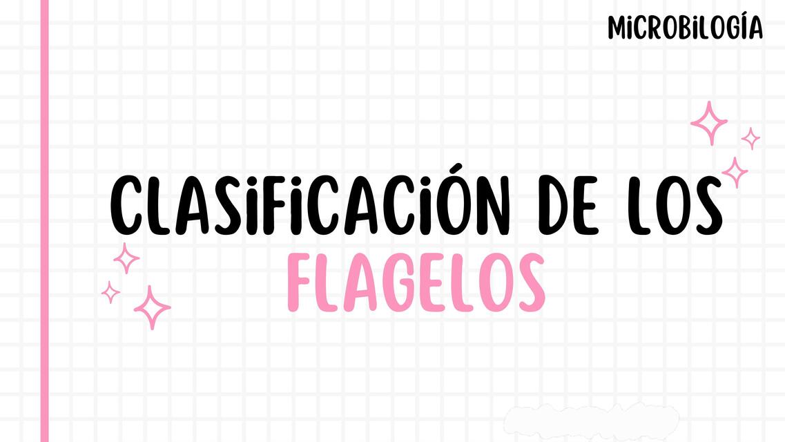Clasificación de flagelos | ARIEL ALEJANDRA PENA CORTES | uDocz