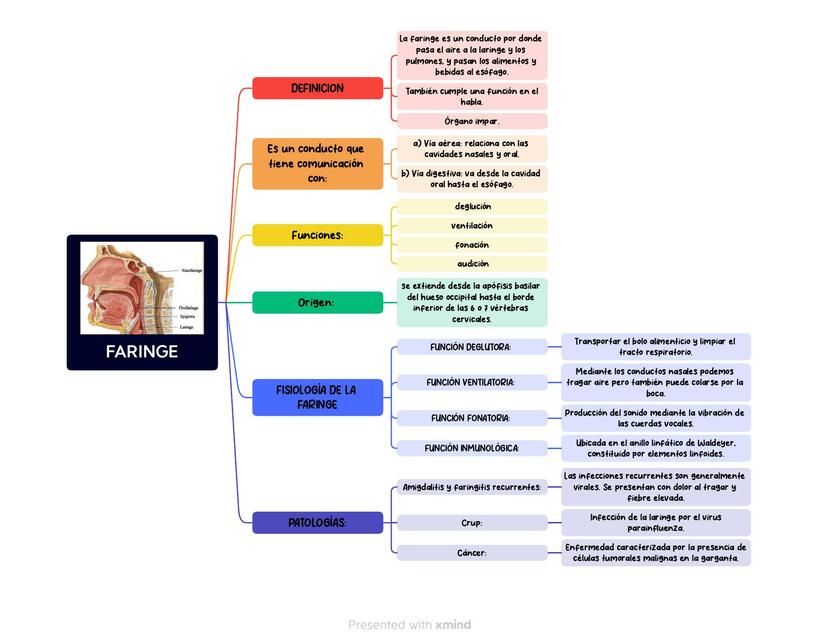 Faringe | Aida NursNotes | uDocz