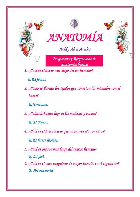 Preguntas y respuestas de anatomía básica | LUCHITO FF | uDocz