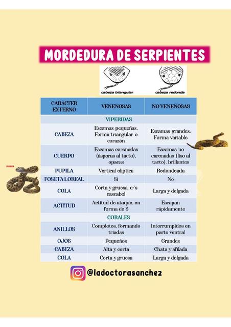 RESUMEN: MORDEDURA DE SERPIENTES | Apuntes de medicina | Enfermedades ...