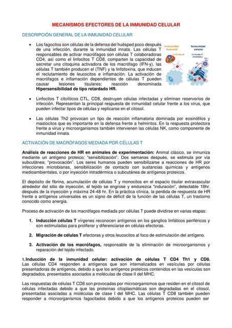Mecanismos Efectores de la Inmunidad Celular | ZOE MEDINA | uDocz