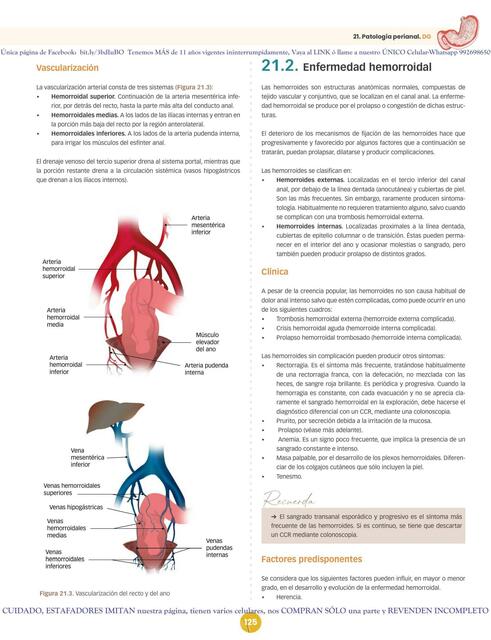 Enfermedad Hemorroidal | ZOE MEDINA | uDocz
