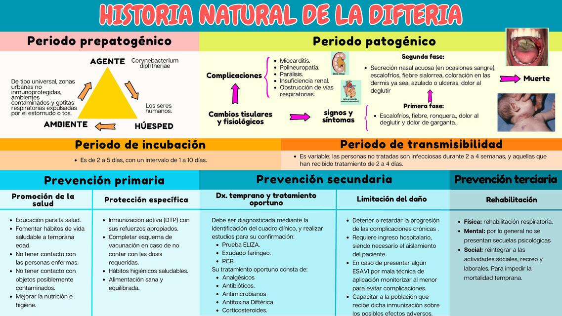 Historia natural de la difteria | MARLEY ROSALIND ELIZAMA VERA BARRETO ...