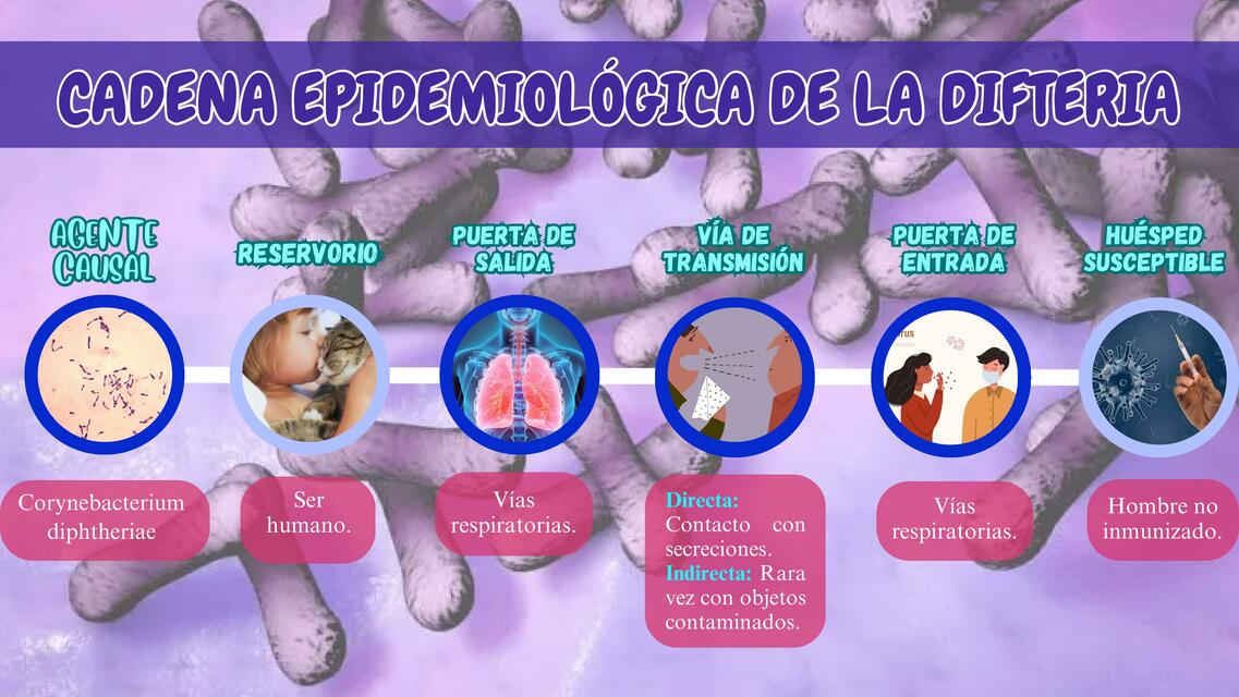 CADENA DE TRANSMISIÓN DE LA DIFTERIA | MARLEY ROSALIND ELIZAMA VERA ...