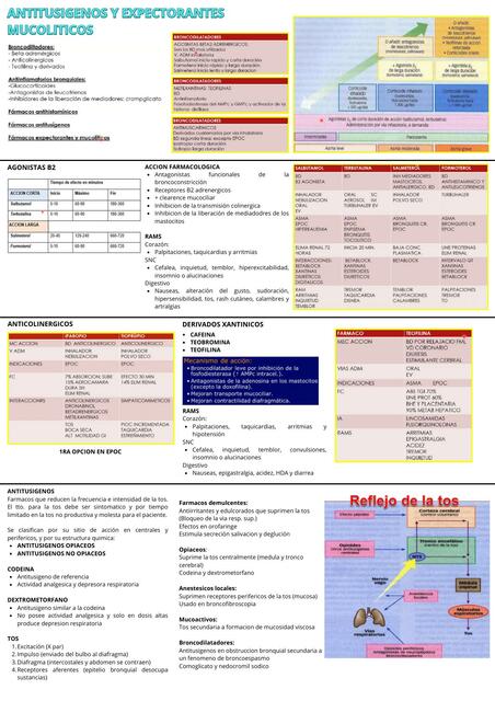 Antitusígenos y mucolíticos | Medwork | uDocz