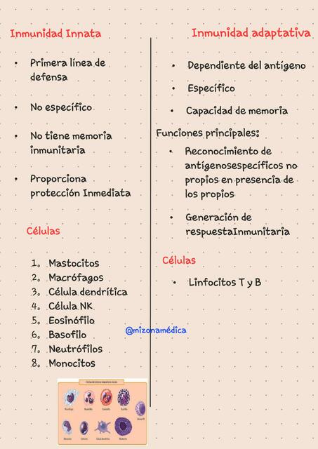 Inmunidad innata vs adaptativa | Mizonamédica | uDocz