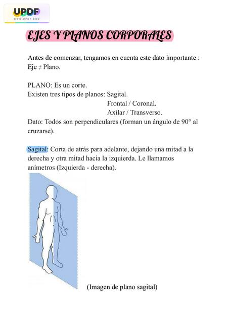 Ejes y Planos Corporales | SOFIA CARBALLO | uDocz