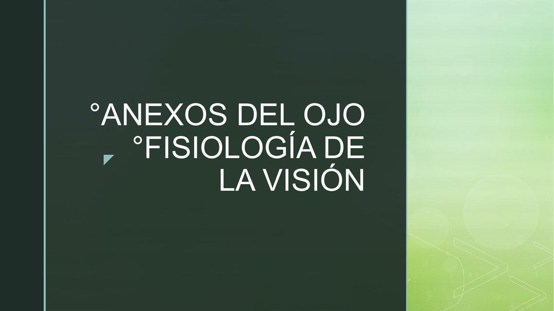 Anexos del ojos fisiologia de la visión | Vanessa Delgado Cruz | uDocz