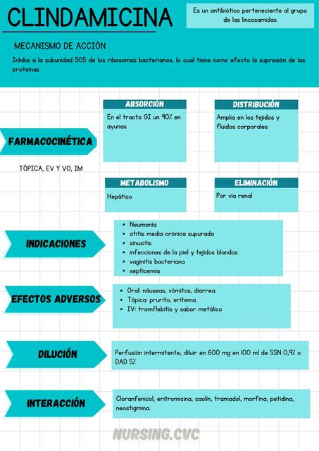 Clindamicina | nursing.cvc | uDocz