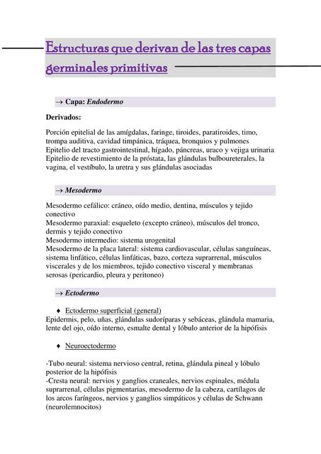 Capas germinales primitivas | Agustina | uDocz