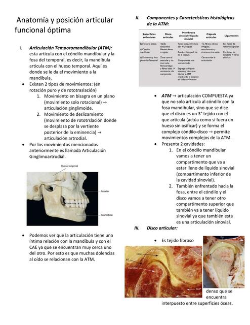 Anatomía y Posición Articular Funcional Óptima | Javiera Rojas | uDocz