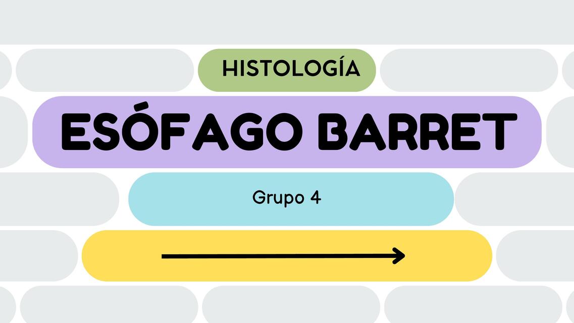 ESOFAGO BARRET (formato PPT) | Ro_with_U | uDocz