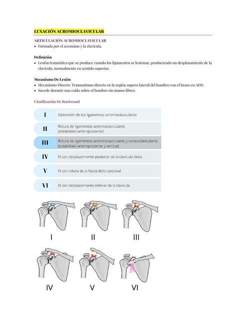 Luxación acromioclavicular | Physio Studies | uDocz