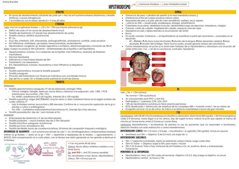 FLASHCARD: hipotiroidismo | Karine Bacellar | uDocz