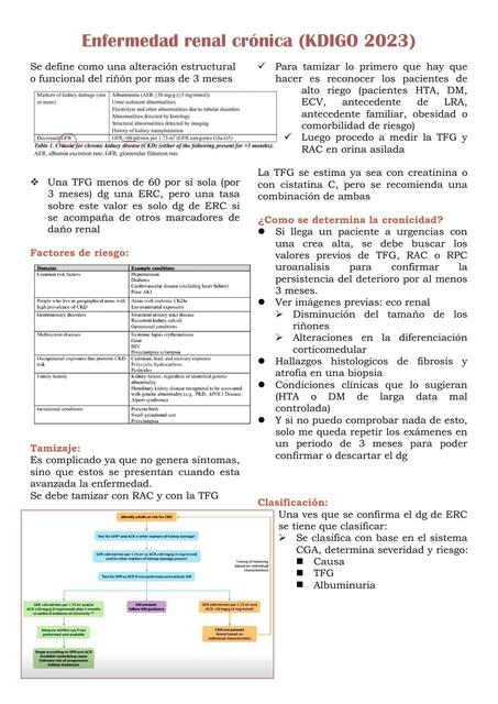 Enfermedad renal crónica (KDGO 2023) | Camifer.Med | uDocz