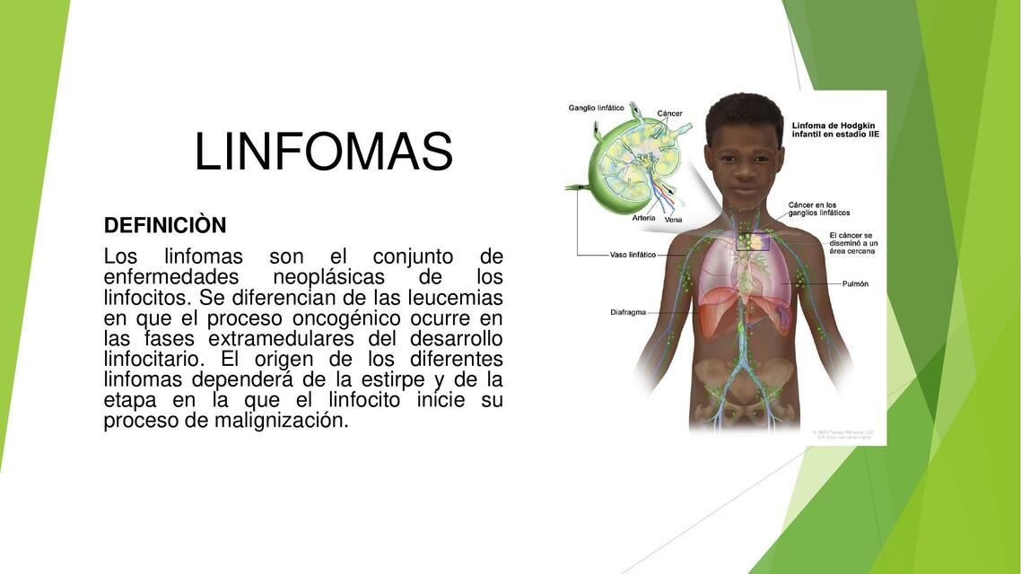Linfomas parte 1 | Escuela medica | uDocz