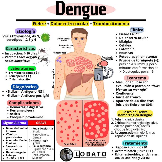 Dengue 🦟🩺| Clínica, Diagnóstico, Tratamiento, Exantema | Arbovirus ...