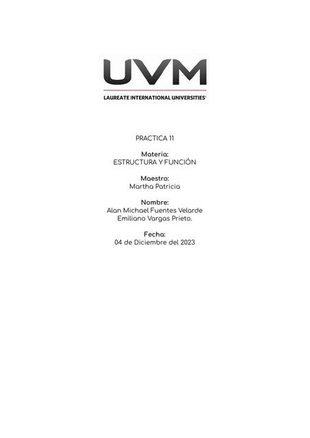 Estructura y función | Alan Michael Fuentes Velarde | uDocz