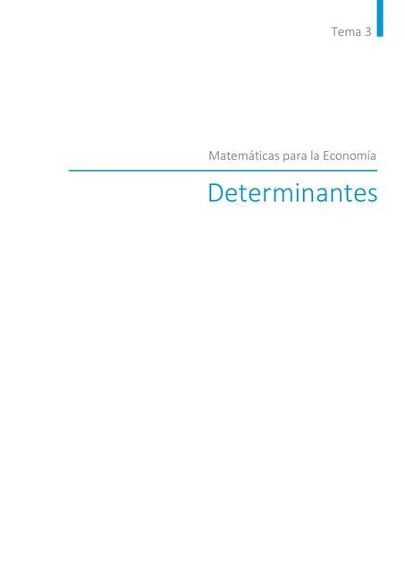 tema3 Determinantes | Isabela Méndez | uDocz