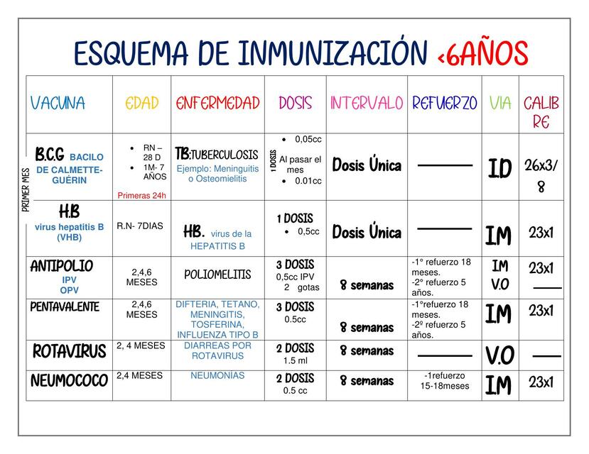 Resúmenes de Esquema de inmunizaciones | Descarga apuntes de Esquema de ...