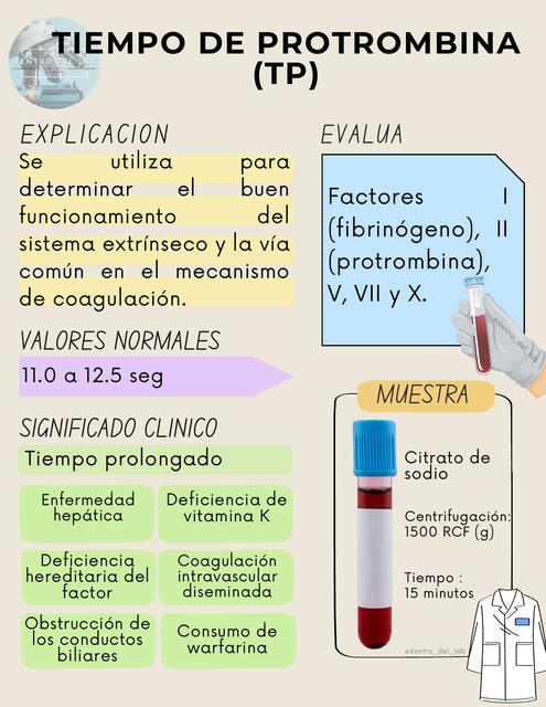 Tiempo de protrombina | Dentro del lab | uDocz