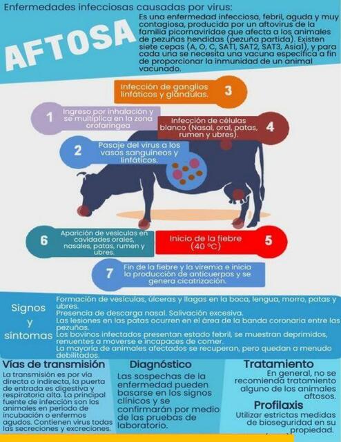Fiebre aftosa | fraii | uDocz