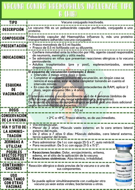 Vacuna contra Haemophilus Influenzae Tipo B (Hib) | Antonella ...