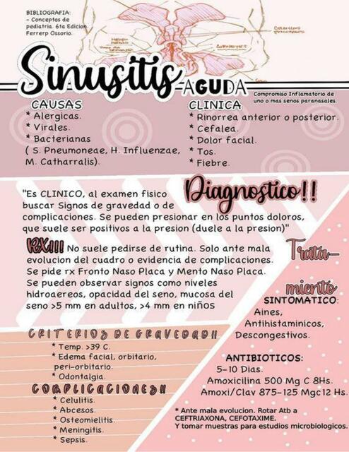 Sinusitis aguda | fraii | uDocz