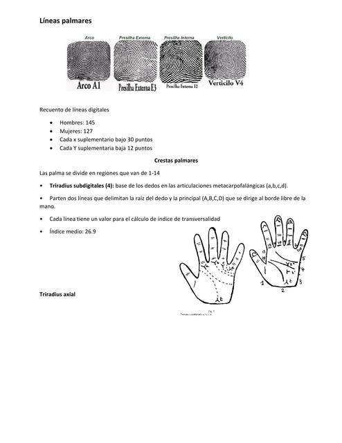 Líneas Palmares | Mitzii Caballero | uDocz