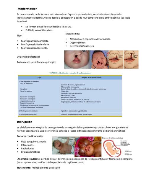Malformación | Mitzii Caballero | uDocz