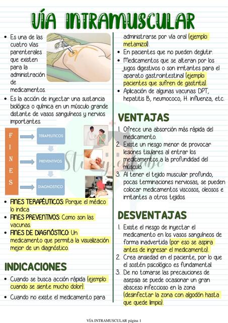 Vía Intramuscular | Antonella Rivadeneyra Ramirez | uDocz