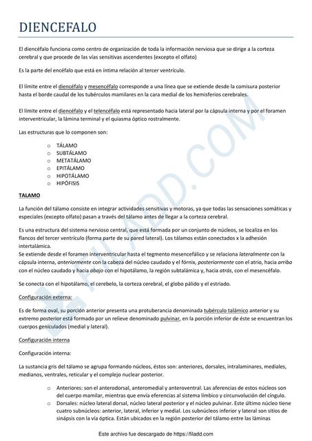 Diencéfalo | Hillary Pérez Ortega | uDocz