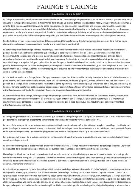 Faringe y laringe anatomia | Celeste Codutti | uDocz