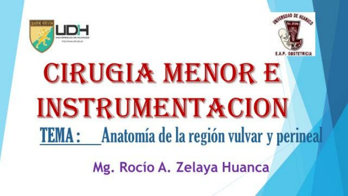 Anatomia Vulvoperineal | ROCIO ZELAYA | uDocz