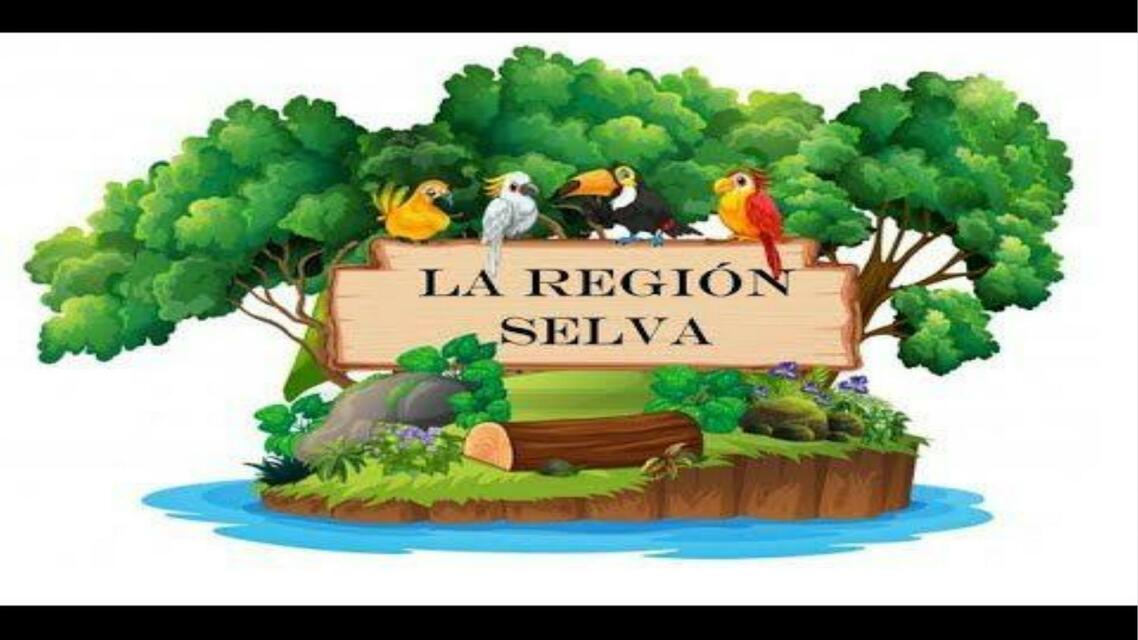 Región selva | Lalí | uDocz
