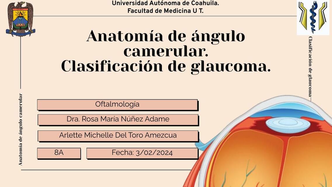 Anatomía de ángulo camerular. Clasificación de glaucoma. | Sarahi ...