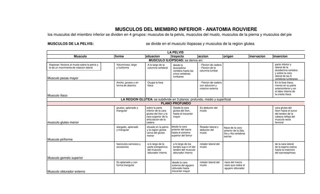 Músculos del miembro inferior anatomía Rouviere | Abigail Castellanos ...