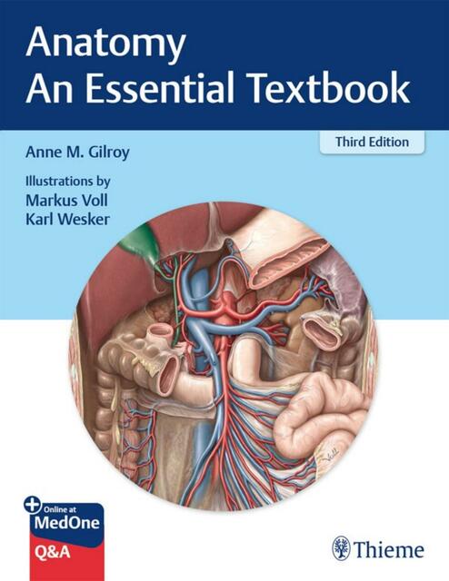 Flashcards de Anatomy An Essential Textbook 3rd ED | Por Whzkyy ! | uDocz