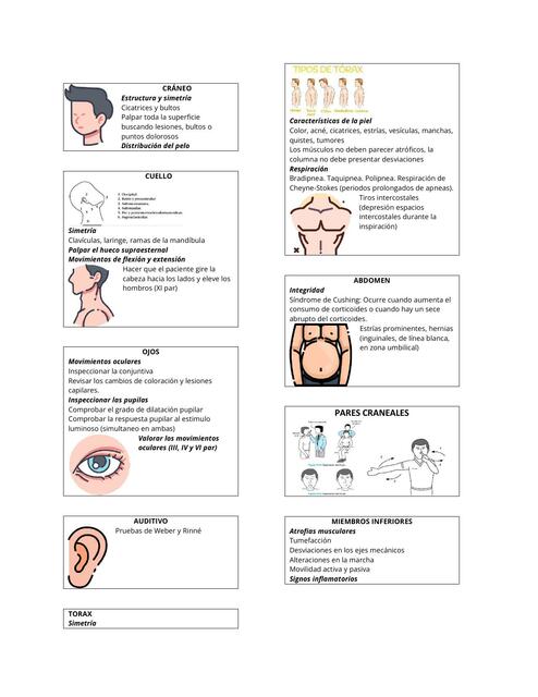 Fichas Valoración Cefalocaudal | Enfermería MI | uDocz